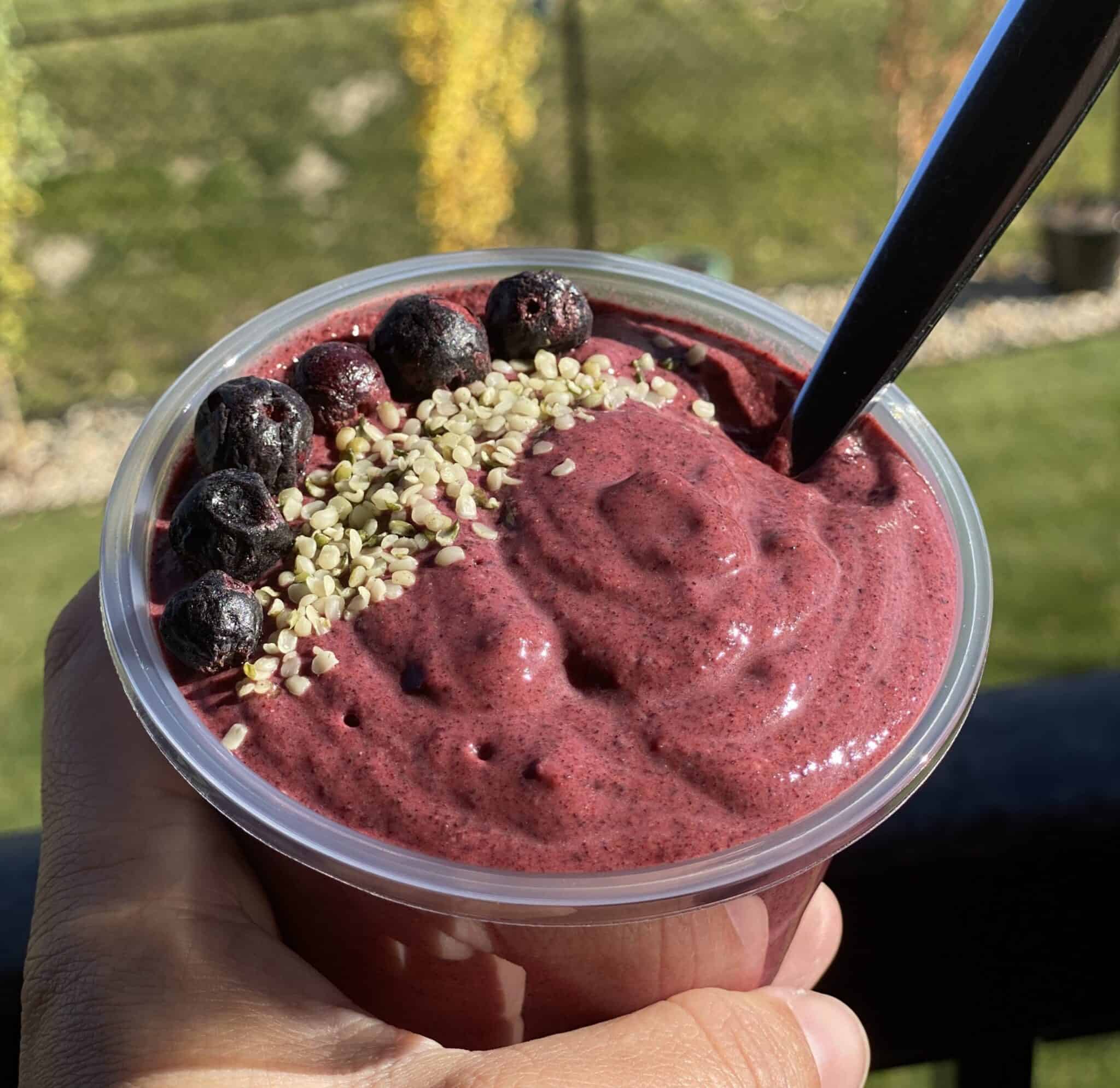 5 Must-Try Saskatoon Berry Recipes! - Prairie Berries